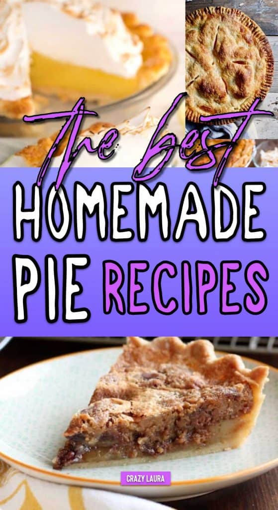 19 Best Homemade Pie Recipes ( Must See ) - Crazy Laura