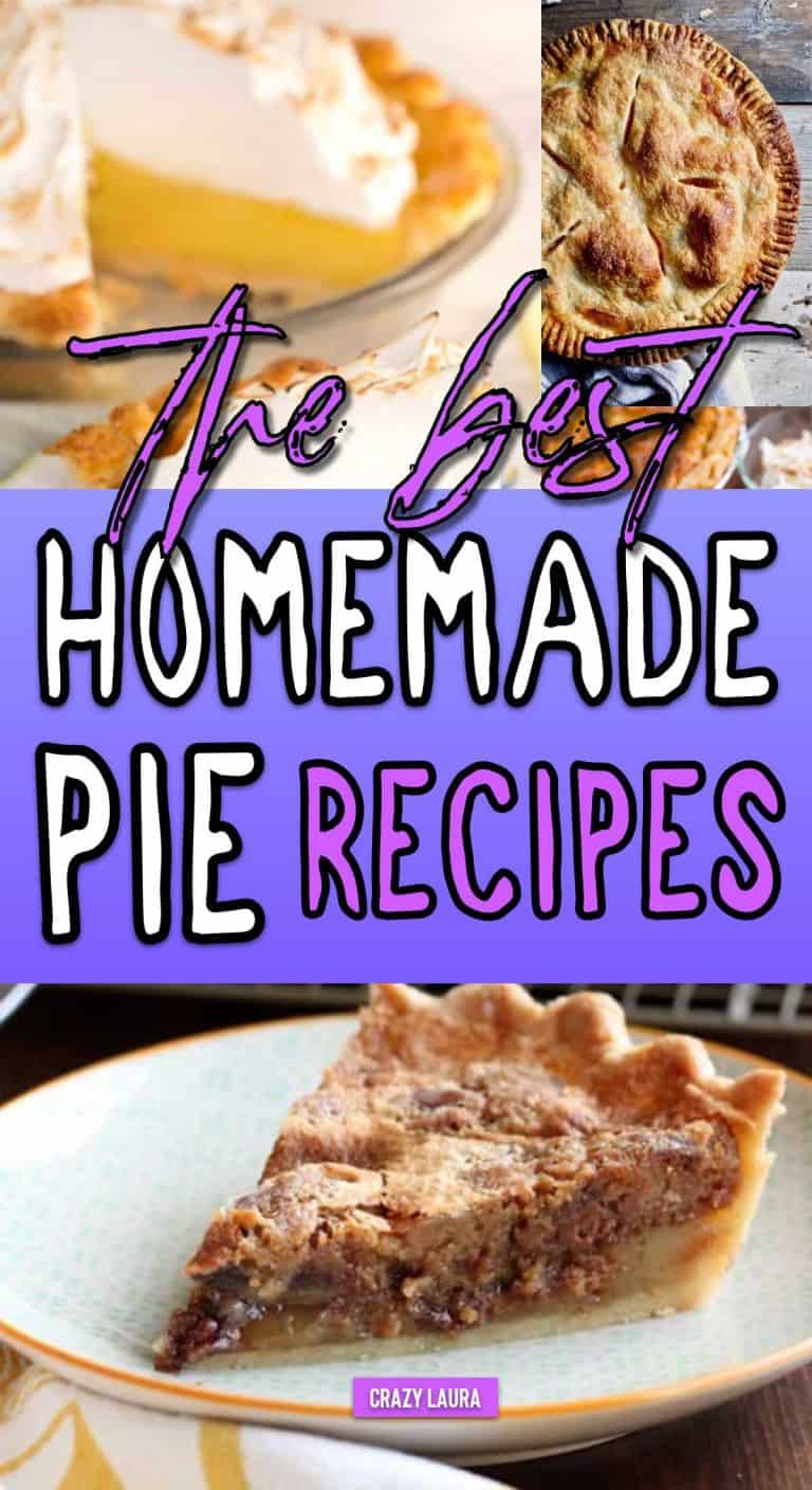 19 Best Homemade Pie Recipes ( Must See ) - Crazy Laura