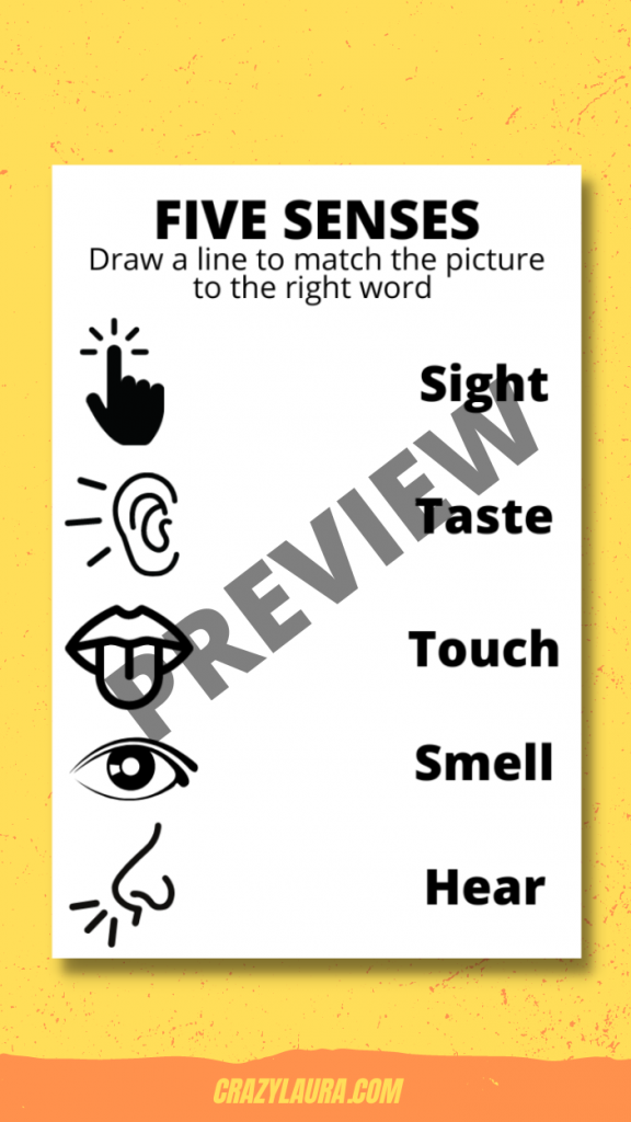 5 Free Matching Game Kindergarten Worksheets in 2026