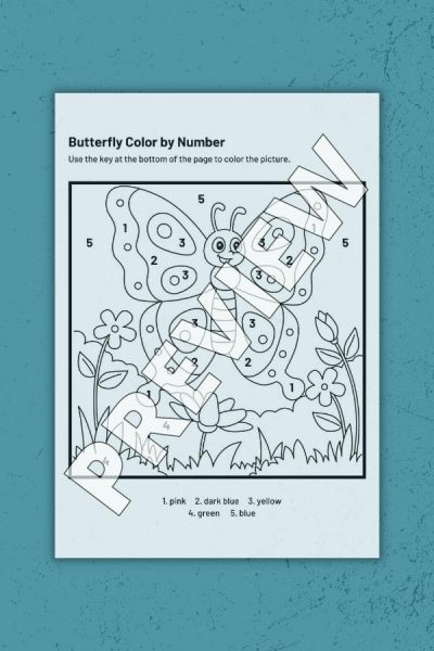 6 Free Color by Number Summer Printables for Kids to Enjoy