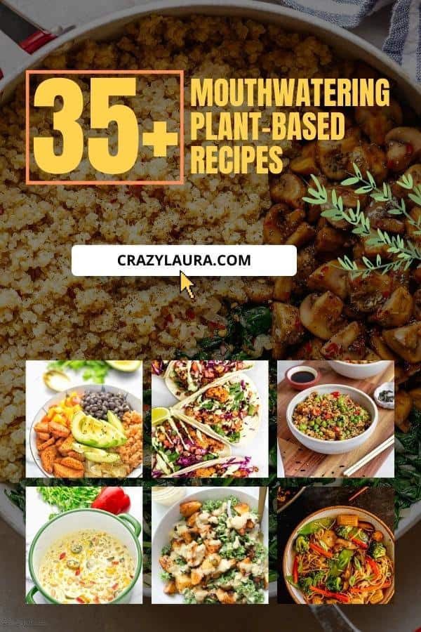 Veggie-licious: 35+ Mouthwatering Plant-Based Recipes!