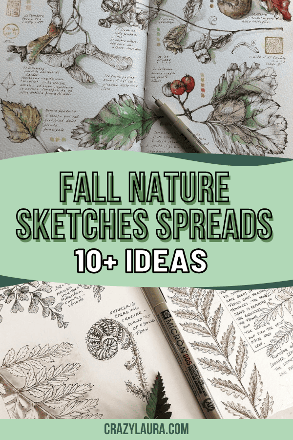 Unfolding Autumn: 12 Fall Nature Sketches Spread - Crazy Laura