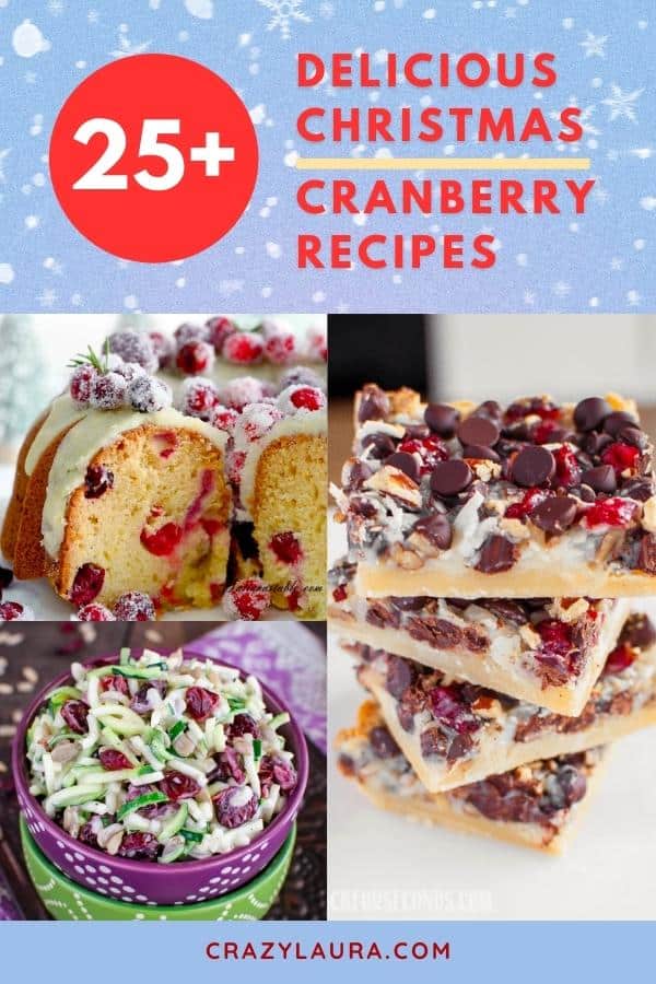25+ Cranberry Christmas Recipes For A Festive Feast