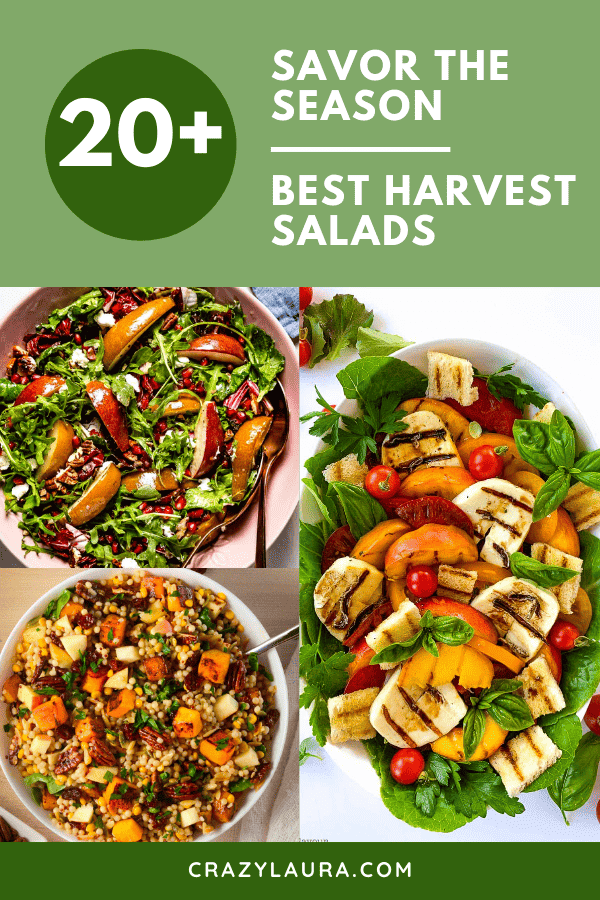 Savor the Season: 20+ Best Rustic Harvest Salads - Crazy Laura