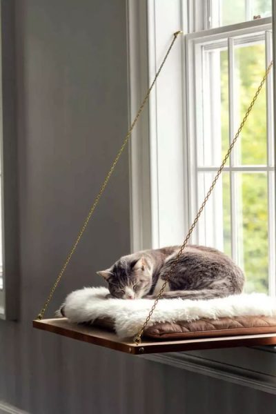 20+ DIY Pet Accessories To Make Your Pet's Day - Crazy Laura