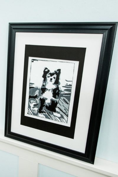 20+ DIY Pet Accessories To Make Your Pet's Day - Crazy Laura