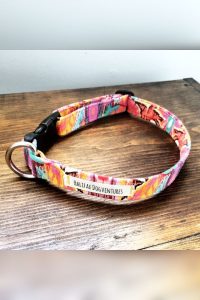 20+ DIY Pet Accessories To Make Your Pet's Day - Crazy Laura