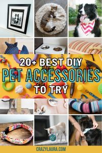 20+ DIY Pet Accessories To Make Your Pet's Day - Crazy Laura